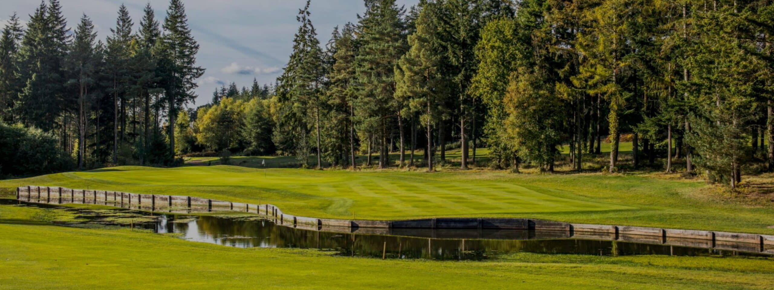 Remedy Oak Golf Club | Modern English Classic in Dorset