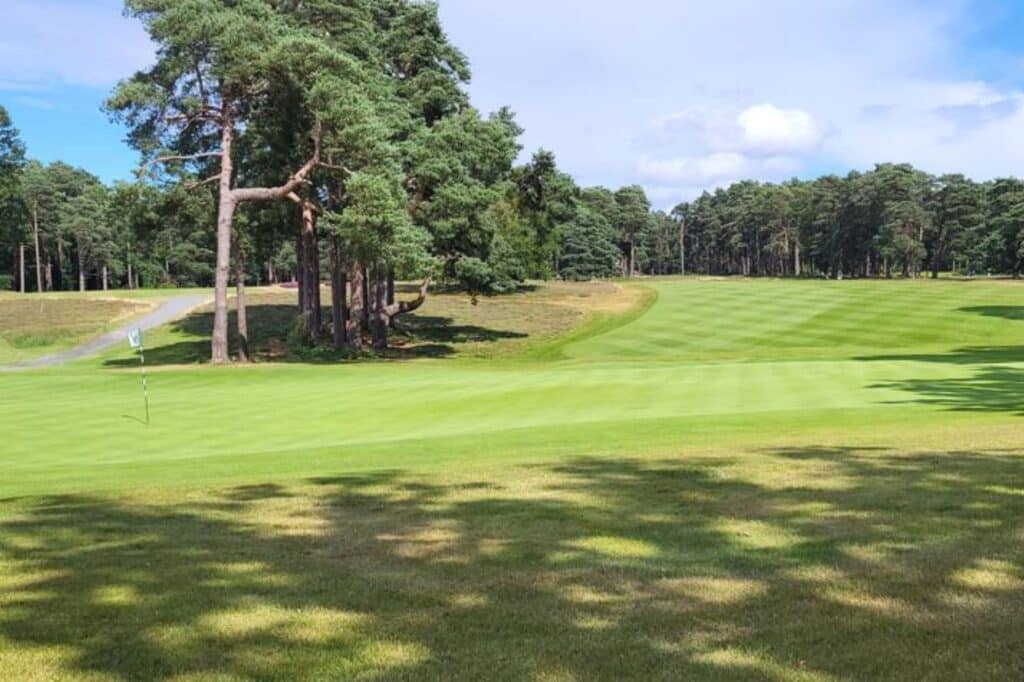 Woking Golf Club | Classic Surrey Heathland Since 1893