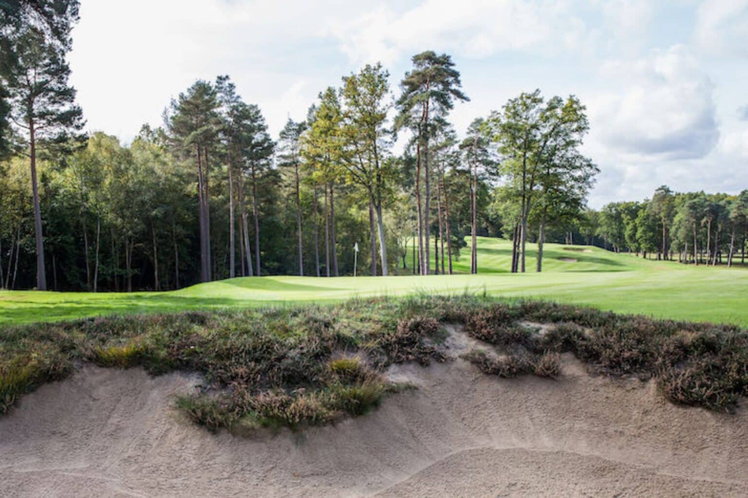 Woking Golf Club | Classic Surrey Heathland Since 1893