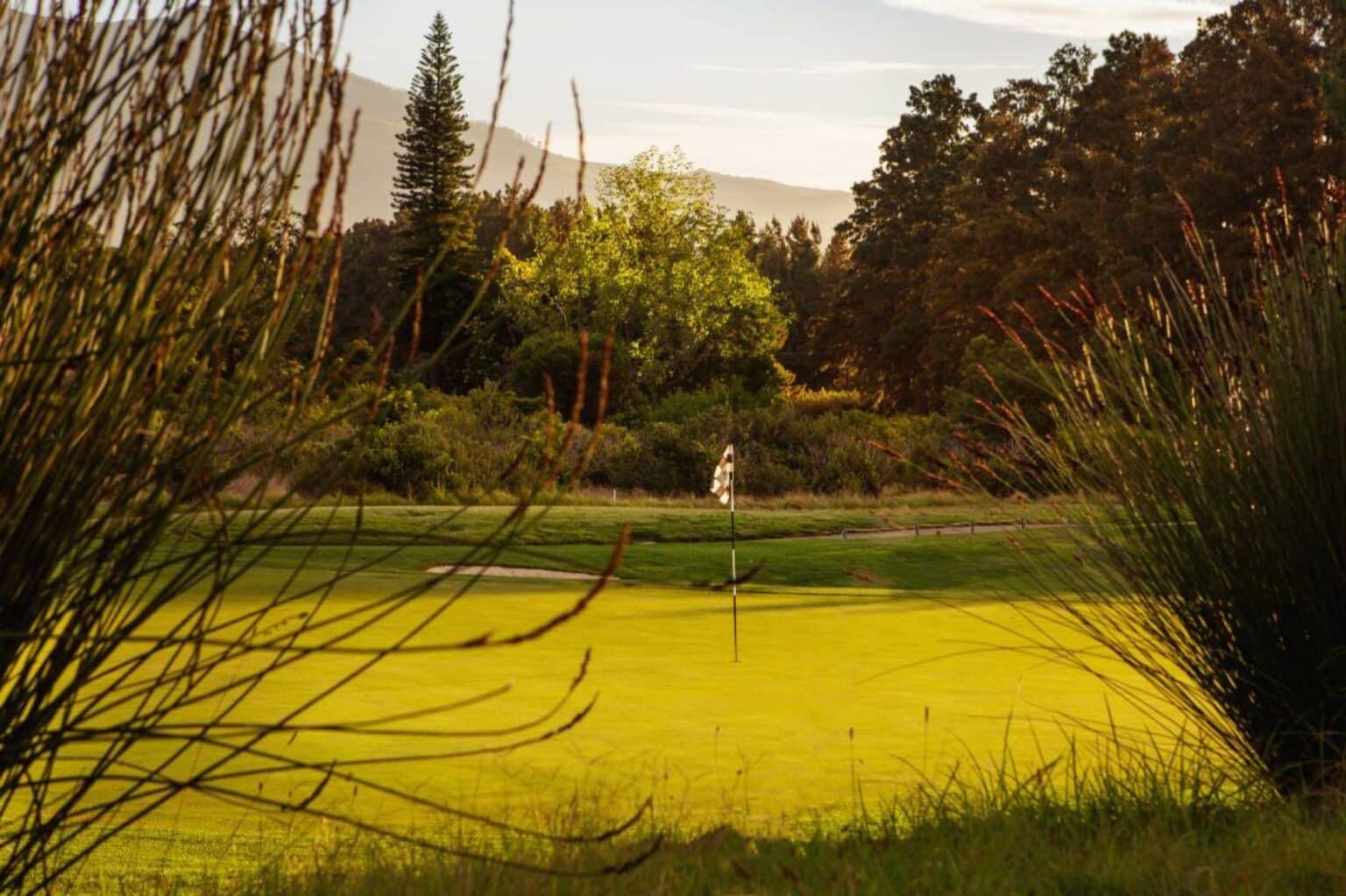 Pearl Valley | Jack Nicklaus Golf in the Cape Winelands
