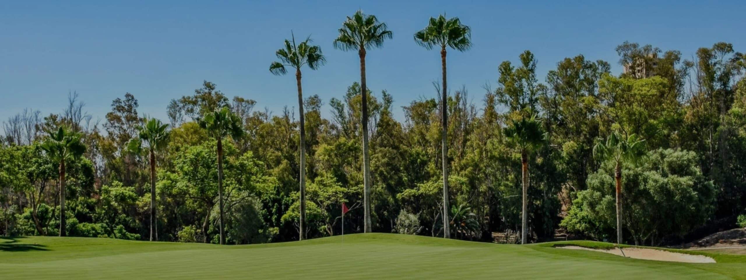 Aloha Golf Club Marbella | Costa del Sol Golf